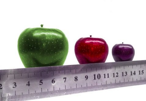 Does Size Matter: What Size Company is Best for You? – QUIZ!