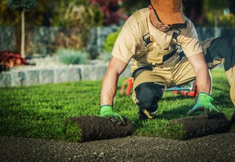 Where to Start When Setting Up a Landscaping Business