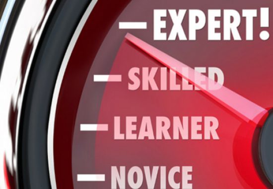 Become a Job Search Expert in 7 Steps - Bridgewater UK